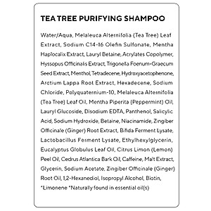 AROMATICA Tea Tree Purifying Shampoo 13.53fl.oz./400ml, Tea Tree Shampoo for Oily Hair and Scalp, Sulfate Free, Vegan
