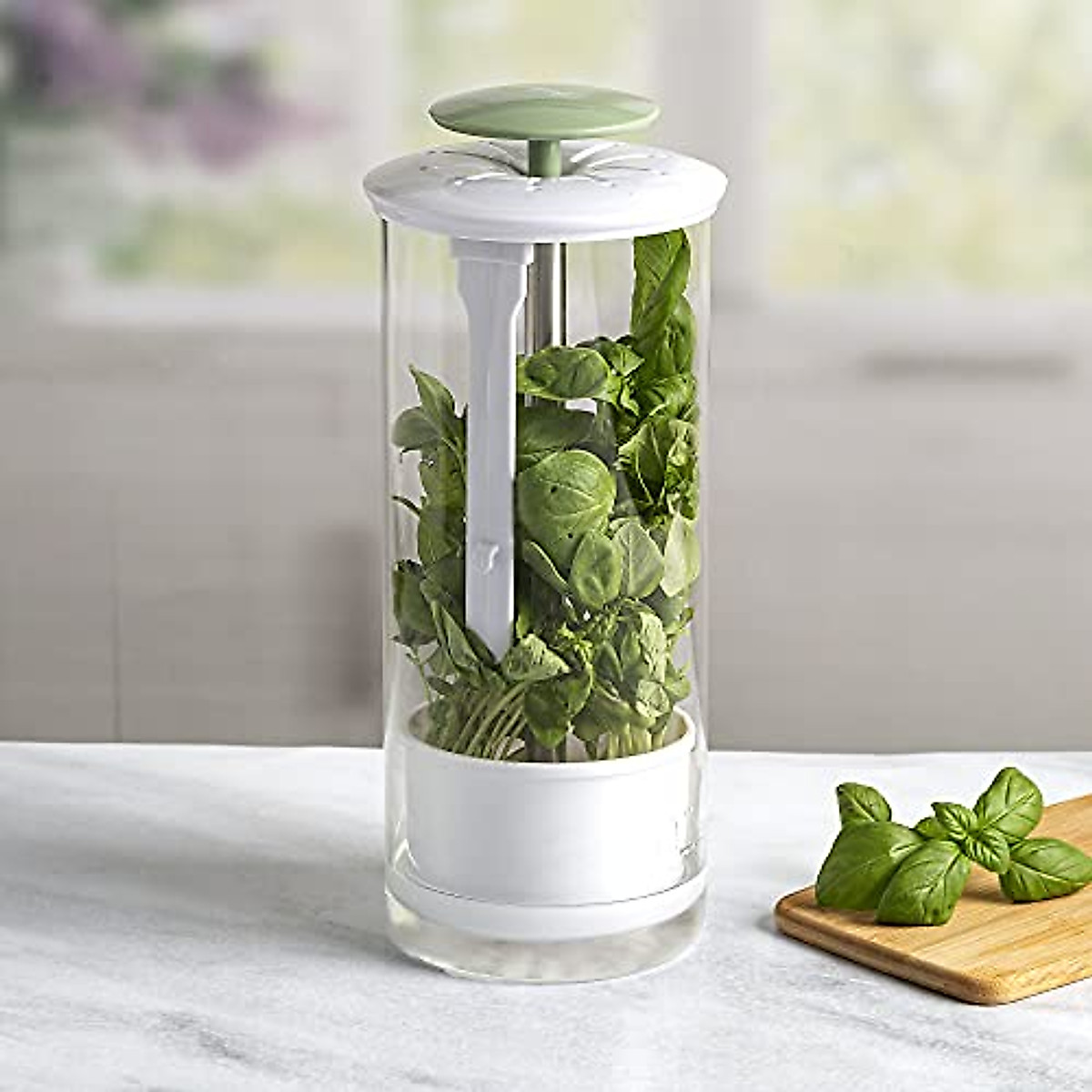 Goodful Herb Keeper Preserver, Designed for Optimum Breathable Airflow for Maximum Freshness, Water Line Ensures the Use of the Right Amount of Water, Stores in your Refrigerator
