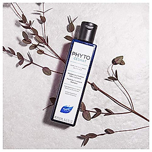 PHYTO Phytocédrat Purifying Treatment Shampoo, 8.45 Fl Oz