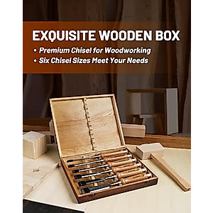 EZARC 6 Pieces Wood Chisel Tool Sets Woodworking Carving Chisel Kit with Premium Wooden Case for Carpenter Craftsman
