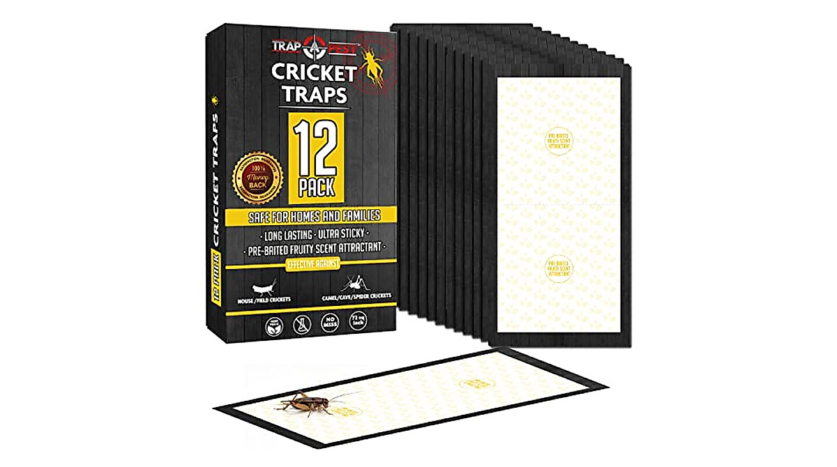 Extra Large Bug Sticky Traps - Non-Toxic Cricket Solution