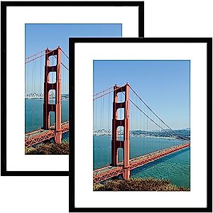 PEALSN 16x20 Picture Frame Set of 2, Poster Frames for Wall Decor, Display Pictures 11 x 14 with Mat or 16 x 20 Without Mat for Wall Mounting Display, Black.