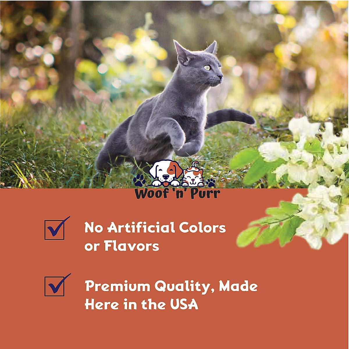 Glucosamine for Cats - Cat Glucosamine - Glucosamine for Cats Liquid - Cat Joint Supplement - Joint Supplement for Cats - Cat Joint Pain Relief - Joint Support for Cats - 1 fl oz - Chicken Flavor