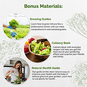 Organo Republic 7 Lettuce Seeds Variety Pack - Non-GMO Heirloom for Lettuce Hydroponic, Aerogarden, Indoor & Outdoors. 3800+ Seeds: Bibb, Romaine, Iceberg, Green Oakleaf, Red Leaf Lettuce