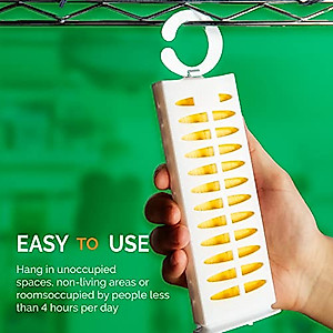 Hot Shot 100046114 No-Pest Strip, Pack of 2