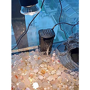 EmmaWu Turtle Filter Small Tank Filter Low Water Level Aquarium Filter Submersible Turtle Reptiles Amphibian Fish Shrimp Frog Crab Tank Filter (200L/H) (Black)