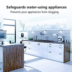 Waterspecialist FXHTC Whole House Carbon Water Filter, Replacement for GE FXHTC, GXWH40L, GXWH35F, Culligan RFC-BBSA, American Plumber W10-PR, W10-BC, WRC25HD, 10" x 4.5", 5 Micron, Pack of 2