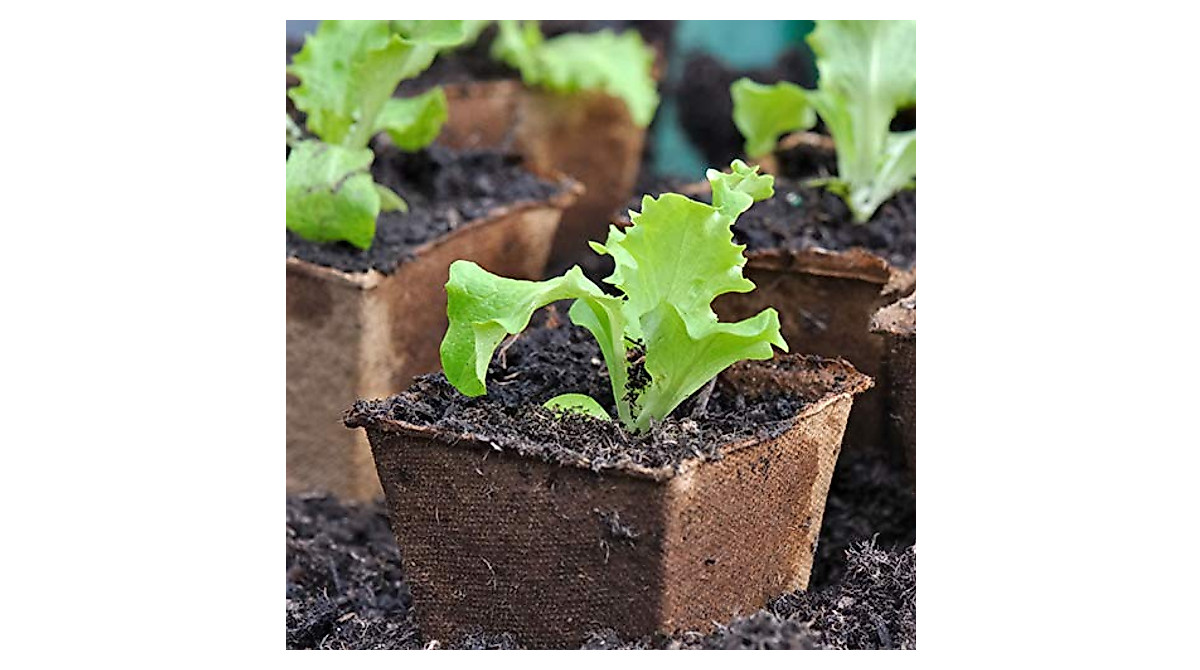 Growneer 120 Bio Peat Pots for Seedling & Garden Starter Kits