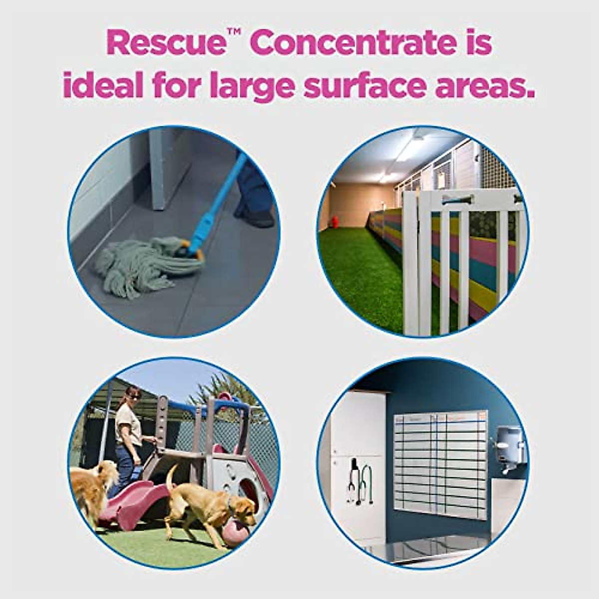 REScue One-Step Disinfectant Cleaner & Deodorizer, For Veterinary Use, Animal Shelters, Pet Foster Homes, Kennels, Litter Box, Concentrate, 1-Gallon