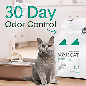 Boxie® Gently Scented 30 Day Natural Odor Control Cat Litter, 40lb Clumping Clay Kitty Litter