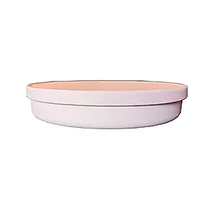 Jordy SUPPLY CO. Silicone Food Plate with Lid, Non-Slip, Serving, Mixing and Eating, Great for Travel (Pale Mauve)