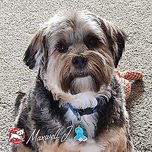 Fromm Four Star Surf and Turf Dog Food, 4-Pound Bag