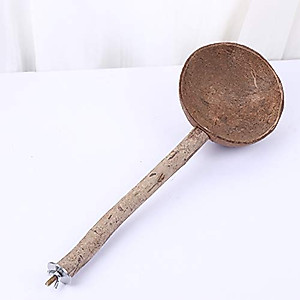 Parrot Nest Bird Feeder Bowl with Perches,2-in-1Natural Coconut Shell Food Container Playground Perch Play Stand Platform Toys for Parrot Conure Parrot Supplies