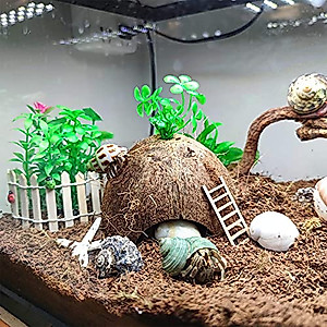 Hermit Crab Shells Natural Coconut Shell Hut Artificial Plants 19 PCS Decoration Supplies House Tank