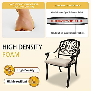 Sunshine Outdoor Indoor/Outdoor Patio Chair Cushion 18.5x18.5 inch :Resilient Foam Filling, Weather Resistant Chair Cushions,Outdoor Seat Cushions for Patio Furniture, Putty 4 Pack