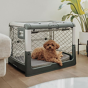 Diggs Snooz Memory Foam Dog Bed - Ideally Sized Revol Dog Crate Pad - Premium Orthopedic Pet Bed for Crate or Home - Grey, Medium