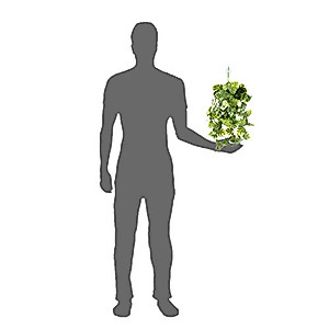 Pangea Hanging Plants Deluxe Decor for Reptile Enclosure Habitat (Green)