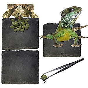 Reptile Basking Platform, Tortoise Feeding Dish, Rock Reptile Food Bowl with Feeding Tweezers Landscape Habitat Decor for Turtle Lizard Bearded Dragon Crested Gecko Snake (4 PCS)