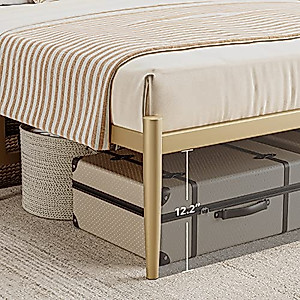 Amyove Gold Bed Frame Full Size Bed Frame with Modern Headboard, Platform Bed 14 Inches Metal Mattress Foundation for Storage, No Box Spring Needed, Easy Assembly, Gold