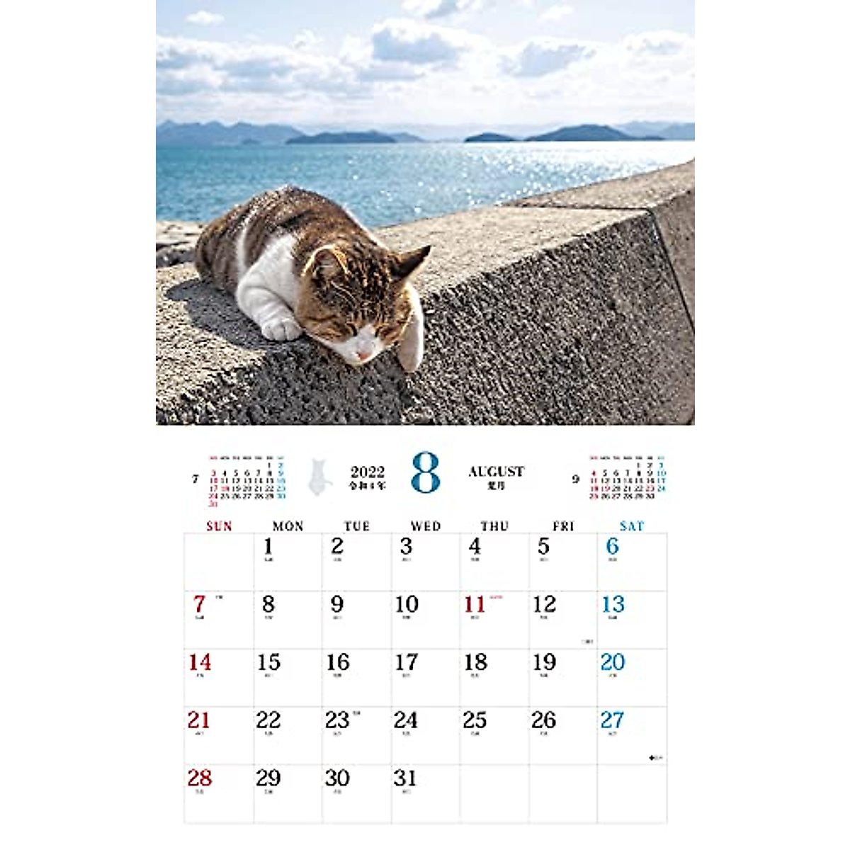 そとねこ (インプレスカレンダー2022)