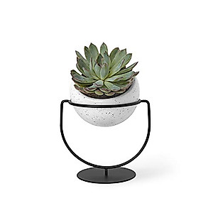 Umbra 1009251-748 Nesta, Table Top or Hanging Modern Planter, Ideal Succulent Plant Holder, White/Black,Single Planter