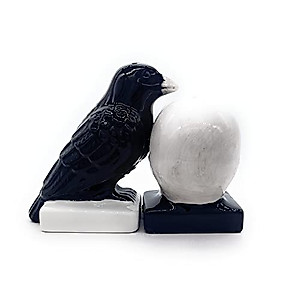 Rustix Quoth The Raven Ceramic Gothic Halloween Decor Cute skull Horror Salt and Pepper Shaker Set Scary Spooky and witchy Gift Fall Season Decor for Kitchen