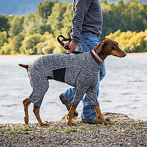 Kurgo Dog Onesie Body Warmer | Bodysuit for Dogs | Recovery Suit | Pet Pajamas | Reduce Anxiety | Contains Shedding | Leash Opening | Reflective | Stowe Base Layer | Heather Black/Grey (Small)