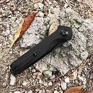 XIPHIAS Flipper Folding Pocket knife, D2 Blade G10 Handle XBJ2201 (Black)