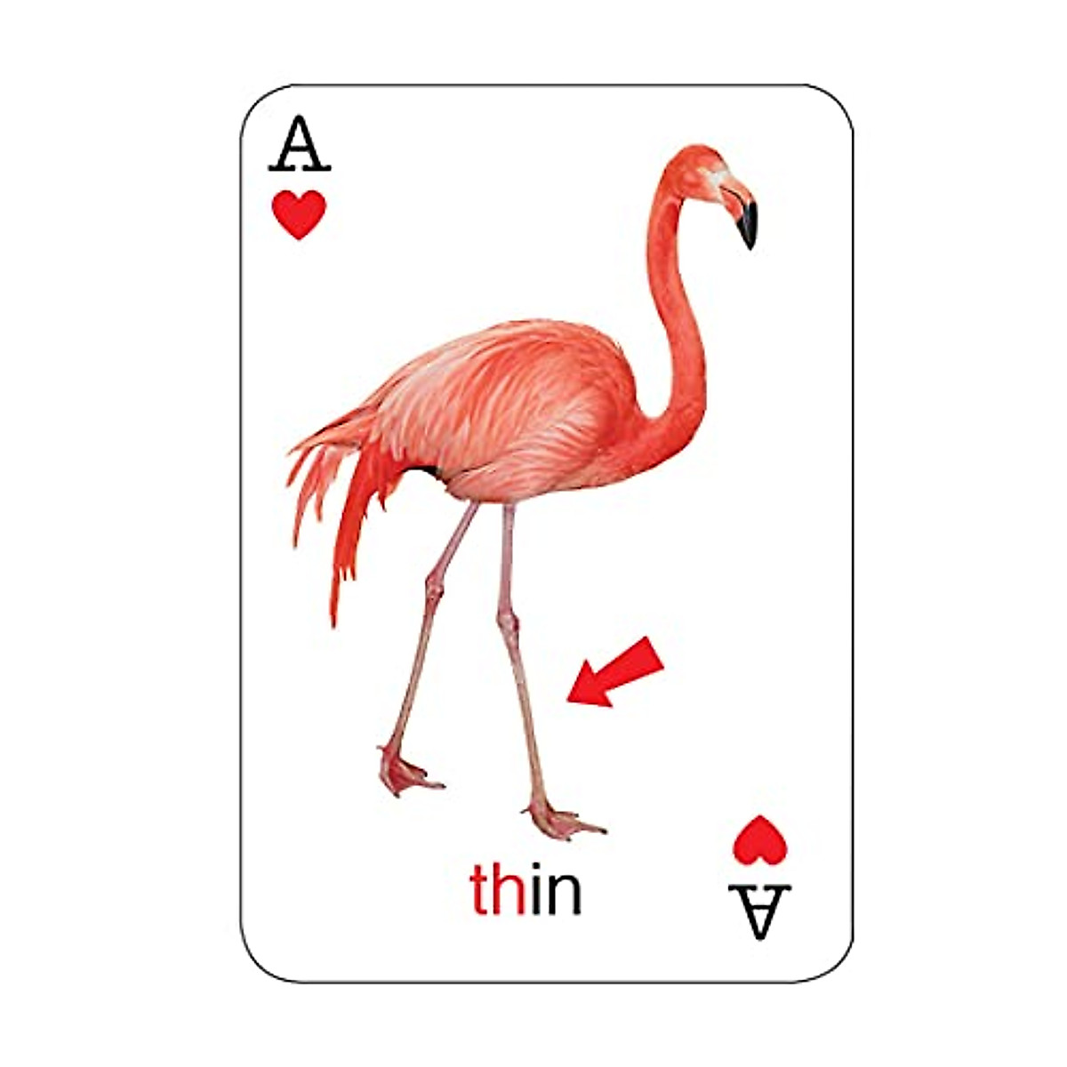 Super Duper Publications | Tiny Talk Articulation and Language TH Sound Photo Flash Cards | Educational Resource for Children