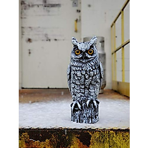 Dalen Fake Owl Decoy to Scare Birds Away from Gardens, Rooftops, and Patios - Scarecrow Provides Chemical-Free Pest Control - Safe and Humane, 16" Great Horned Owl - Snow White