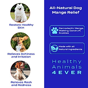 HealthyAnimals4Ever Mange Relief for Dogs - Treatment for Itchiness, Scabs, & Hair Loss Caused by Mites - All-Natural, Homeopathic, Non-GMO, Organic - Gluten, Preservative & Chemical Free - 300 ct