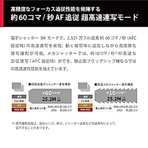 Panasonic LUMIX G9II Micro Four Thirds Camera, with 12-60mm F2.8-4.0 Lens DC-G9M2LK (International Model)