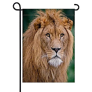 Uanvaha Lion Garden Flag Double Sided Brown Lion Head King African Grass Wild Animal Nature Welcome Small Yard Flag Seasonal Outside Decor Yard Farmhouse 12.5X18 Inch