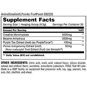 Animal Creatine XL Powder - Enhanced Pre Workout Creatine Monohydrate Supplement - Support Brain Health, Delay Fatigue, Enhance Endurance, Improve Recovery, Men and Women - Fruit Punch