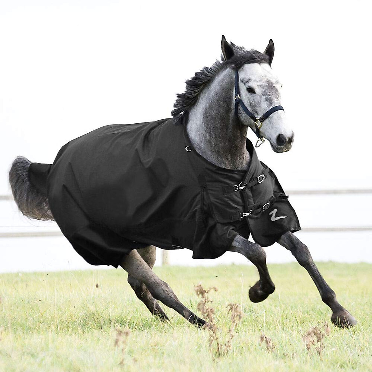 HORZE Nevada Medium Weight 1200D Waterproof Horse Turnout Blanket (200g Fill) - Black - 75 in