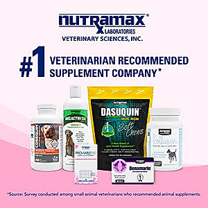 Nutramax Proviable Digestive Health Supplement Multi-Strain Probiotics and Prebiotics for Dogs, With 7-Strains of Bacteria, 60 Chewable Tablets