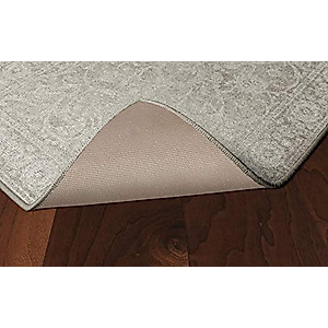 Brumlow MILLS Georgiana Traditional Distressed Floral Print Pattern Home Indoor Area Rug for Living Room Decor, Dining, Kitchen Rug, or Bedroom Mat, 30" x 46", Neutral