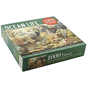 PETER PAUPER PRESS, Inc. Ocean Life 1000 Piece Jigsaw Puzzle