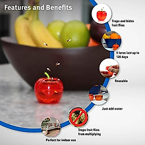 Raid Fruit Fly Trap for Indoors | Effective Fly Killer | Insect Catcher | Fruit Fly Killer & Gnat Traps for House Indoor | Easy to Use & 120 Day Food-Based Lure Fly Catcher (2 Pack)