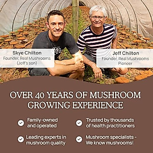 Real Mushrooms Organic Hot Chocolate Mix with 5 Defenders Turkey Tail, Chaga, Maitake, Shiitake, Reishi Mushroom - Cacao Powder Vegan Supplement, Gluten-Free, 15 Servings