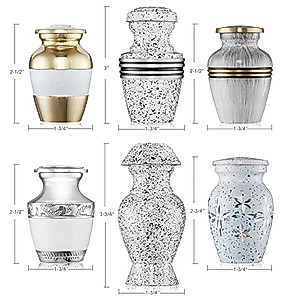 Reminded Small Keepsake Cremation Urns for Human Ashes, Set of 6 Silver and Gold Family Memorial Urns with Velvet Case and Bags