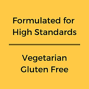 Natgrown Ginkgo Biloba 120mg - Extra Strength Ginkgo Biloba Extract Capsules - 120 Count