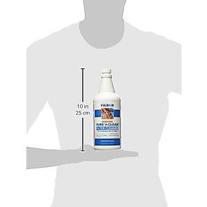 Filbur FC-6350 Pure n' Clean Cartridge and DE Filter Cleaner, 32-Ounce
