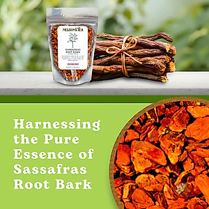 Nelson's Tea - Sassafras Root Bark - Cut & Sifted Sassafras Root Beer Flavor - Sassafras Albidum (4 Oz)