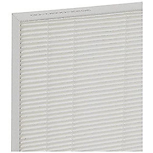 Genuine Winix 113050 Replacement Filter C for P150 Air Purifier, White