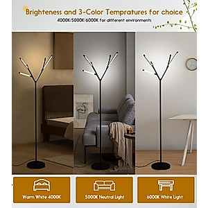 Q&S Led Floor Lamp,Black Modern Industrial Contemporary Corner Floor Lamp Tall Tree Bright Reading Standing Lighting for Bedroom Living Room Office