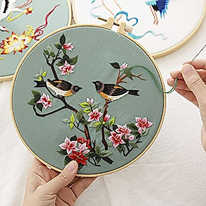Picoey Birds Embroidery Kit for Beginners with Pattern and Instructions,4 Pack Cross Stitch Kits,2 Wooden Embroidery Hoops,Threads and Needles,Needlepoint Kit for Adults