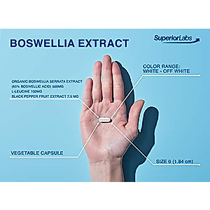 Superior Labs Boswellia Extract - Pure Non GMO Boswellic 65% Acids. Superior Absorption Zero Synthetic Additives - Powerful Formula Joint, Knees, Hips, Immune, 500mg SVG, 240 Veg Capsules