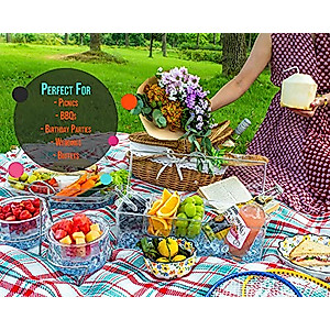 gesPINK Condiment Trays, Condiment Servers, Set of 2 Garnish Trays with Lid for Bar, Bar Fruit Caddies with Lid, Bar Condiment Trays with Lid, Condiment Servers for Parties, Chilled Serving, Utensils