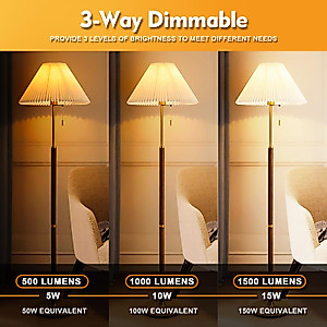 Zorykn 3 Way Light Bulbs 50 100 150 Warm White, A19 3000K, 5/10/15W Energy Saving 500 1000 1500 Lumens, E26 Base LED Bulbs Perfect for Reading, 2 Pack